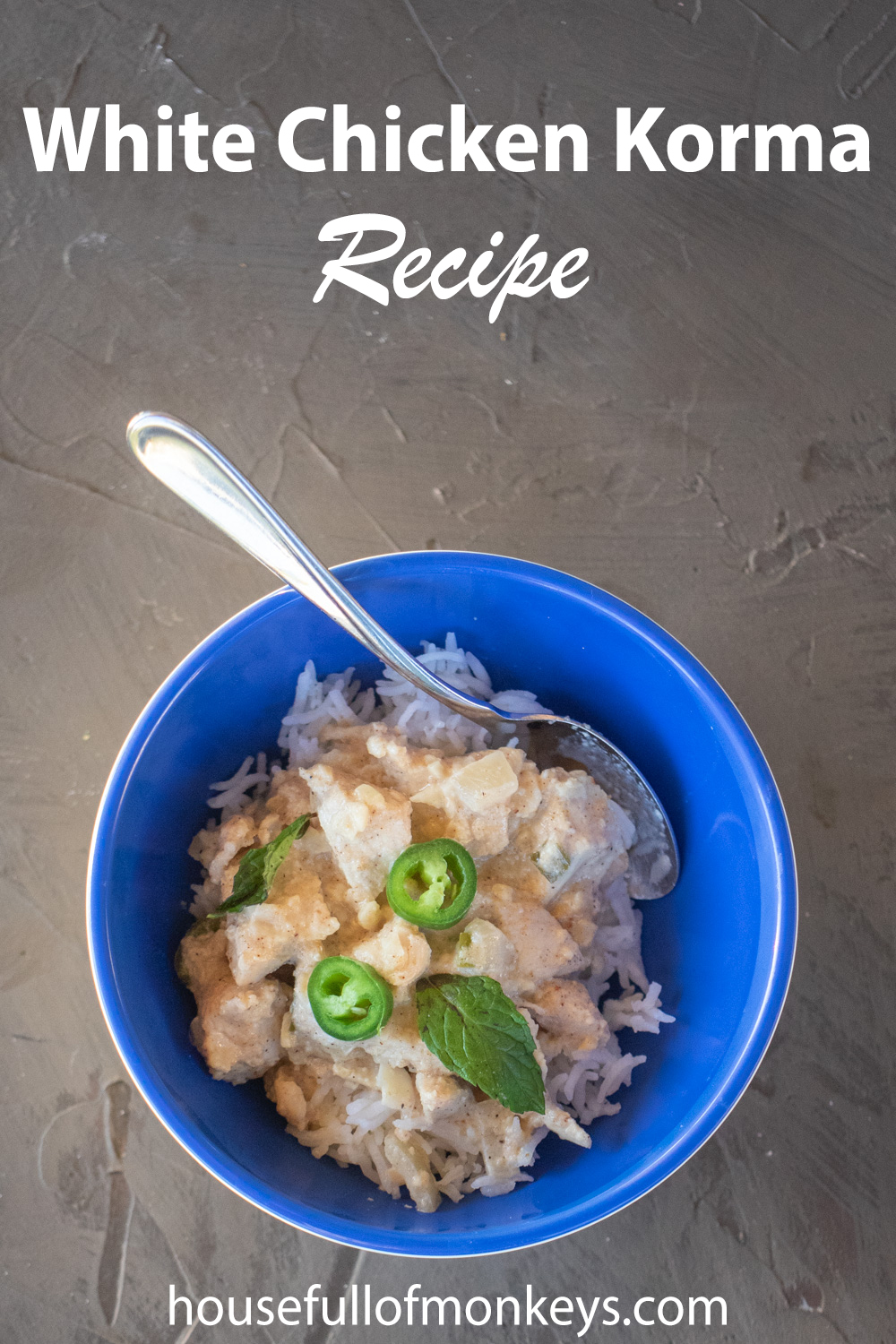 White Chicken Korma Recipe - House Full of Monkeys